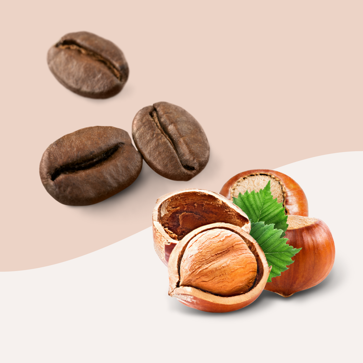coffee bean + hazelnut – Vim + Vigor Candle Co