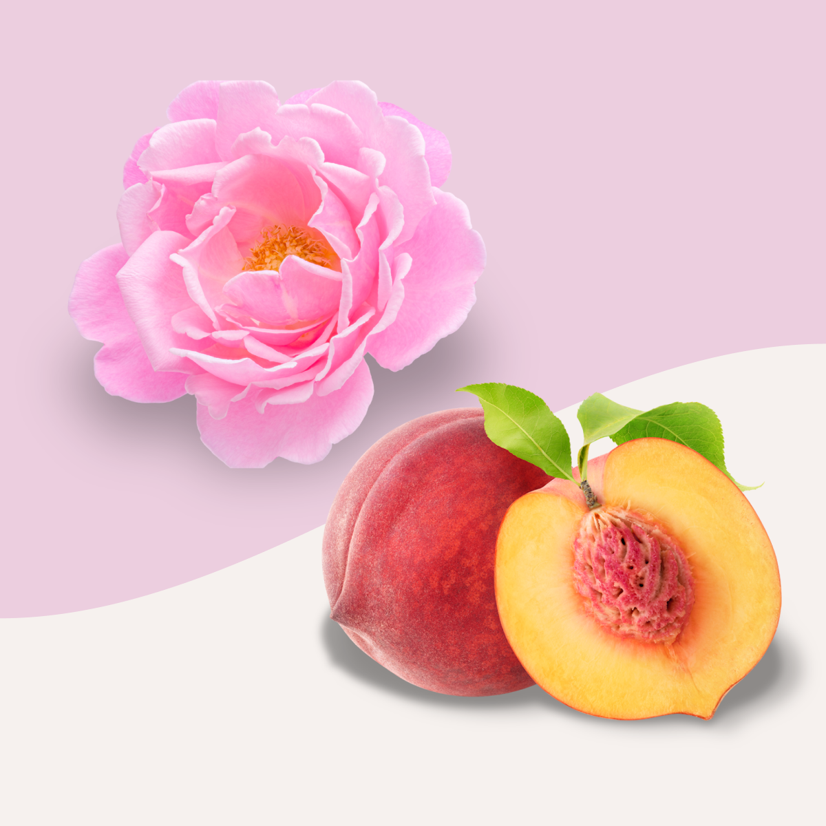 peony + peaches – Vim + Vigor Candle Co