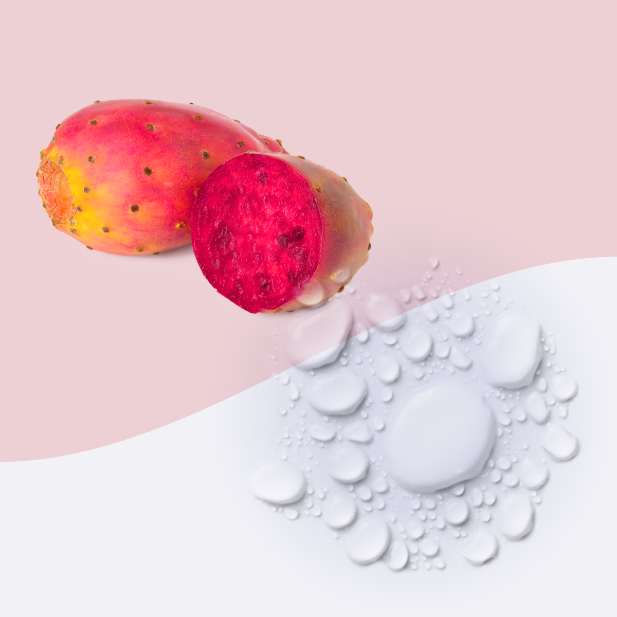 prickly pear + dew – Vim + Vigor Candle Co