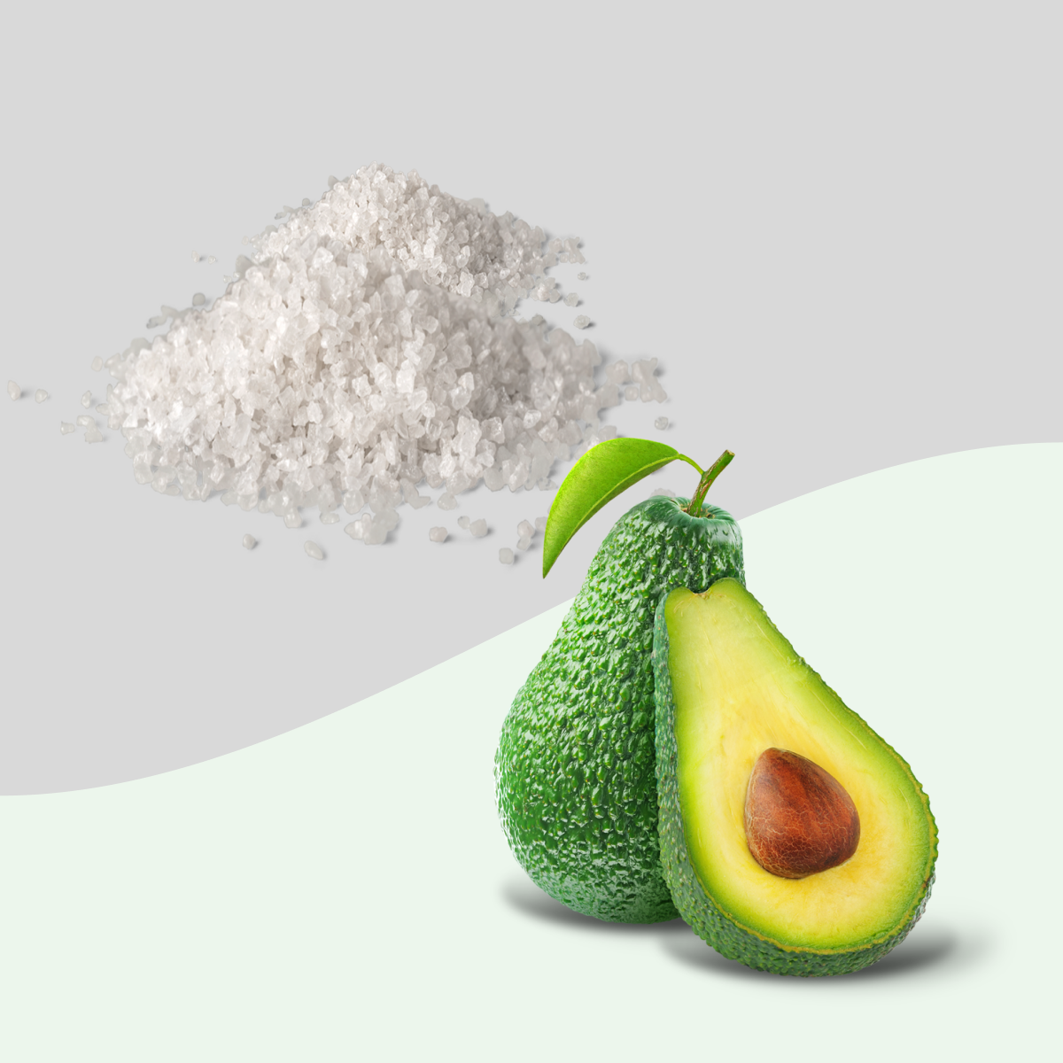 sea salt + avocado – Vim + Vigor Candle Co